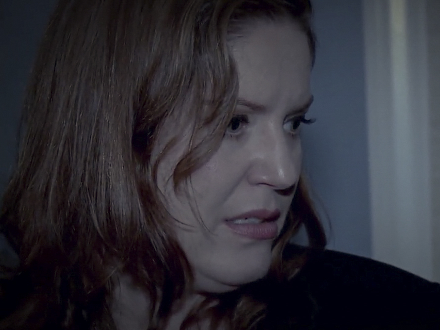 Prime Video: The Dead Files - Season 4