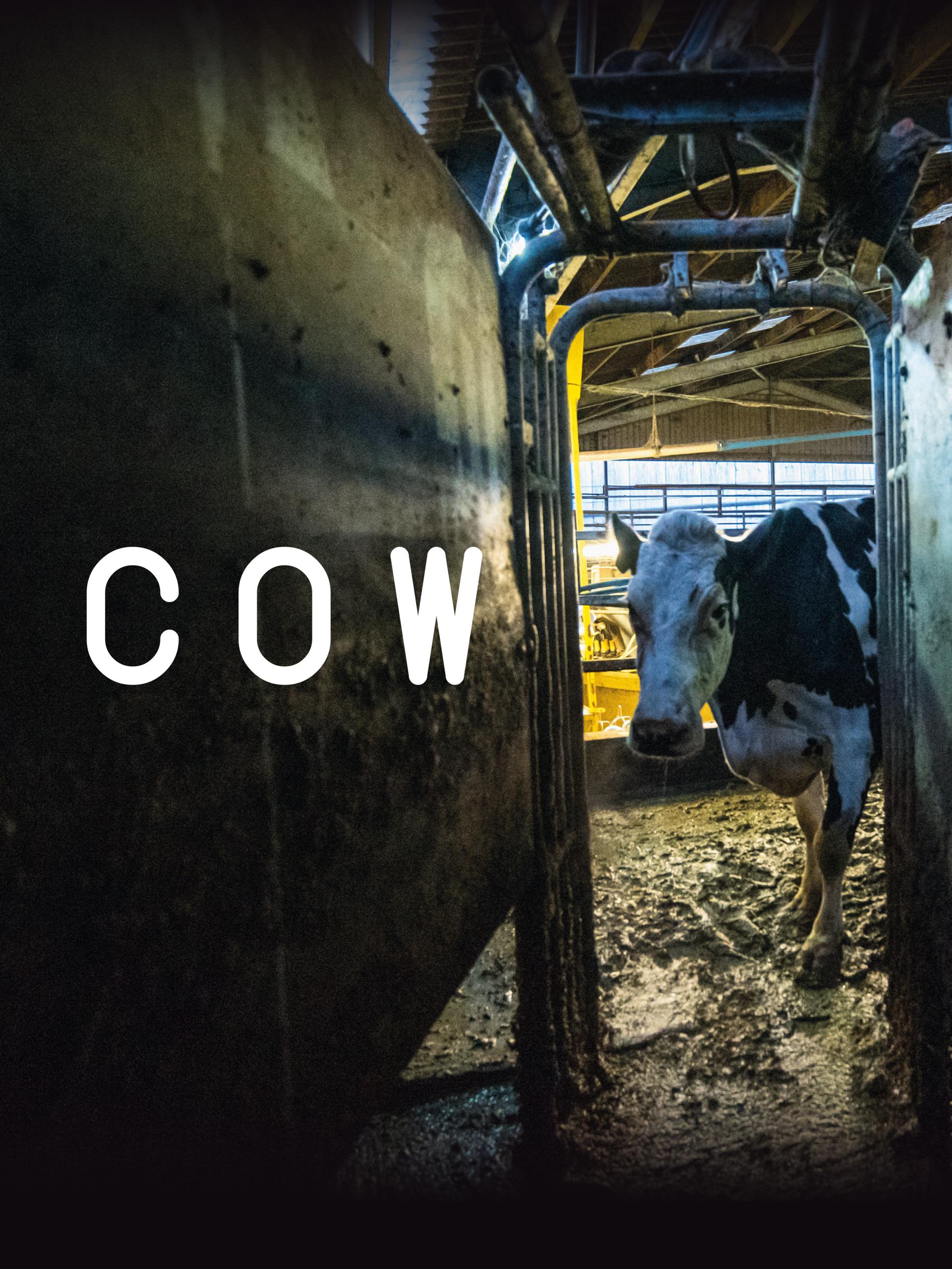 Prime Video: Cow