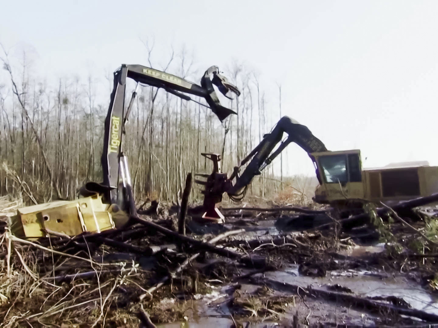 Prime Video: Swamp Loggers - Season 1