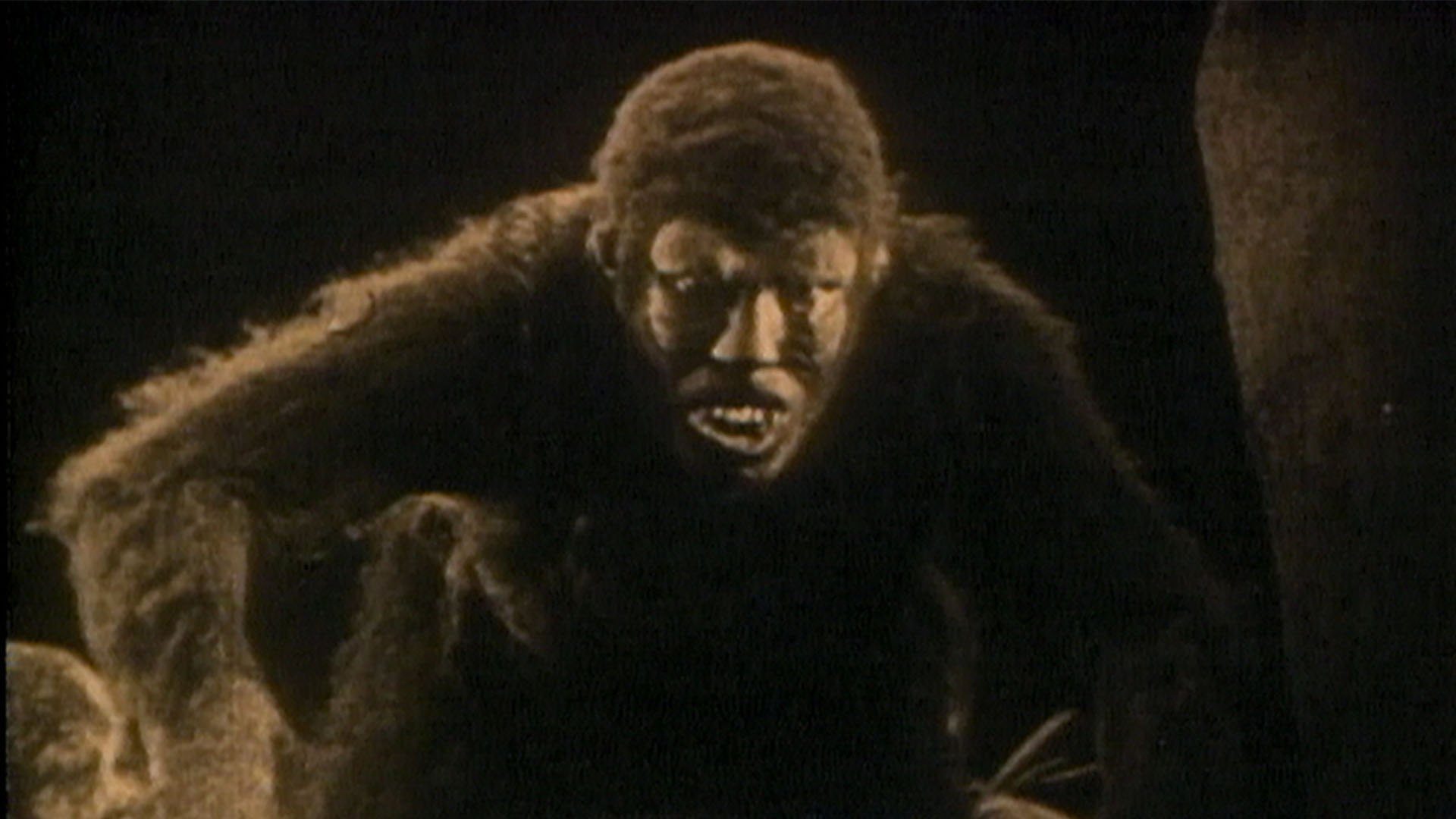 Watch Sasquatch Odyssey: The Hunt for Bigfoot | Prime Video