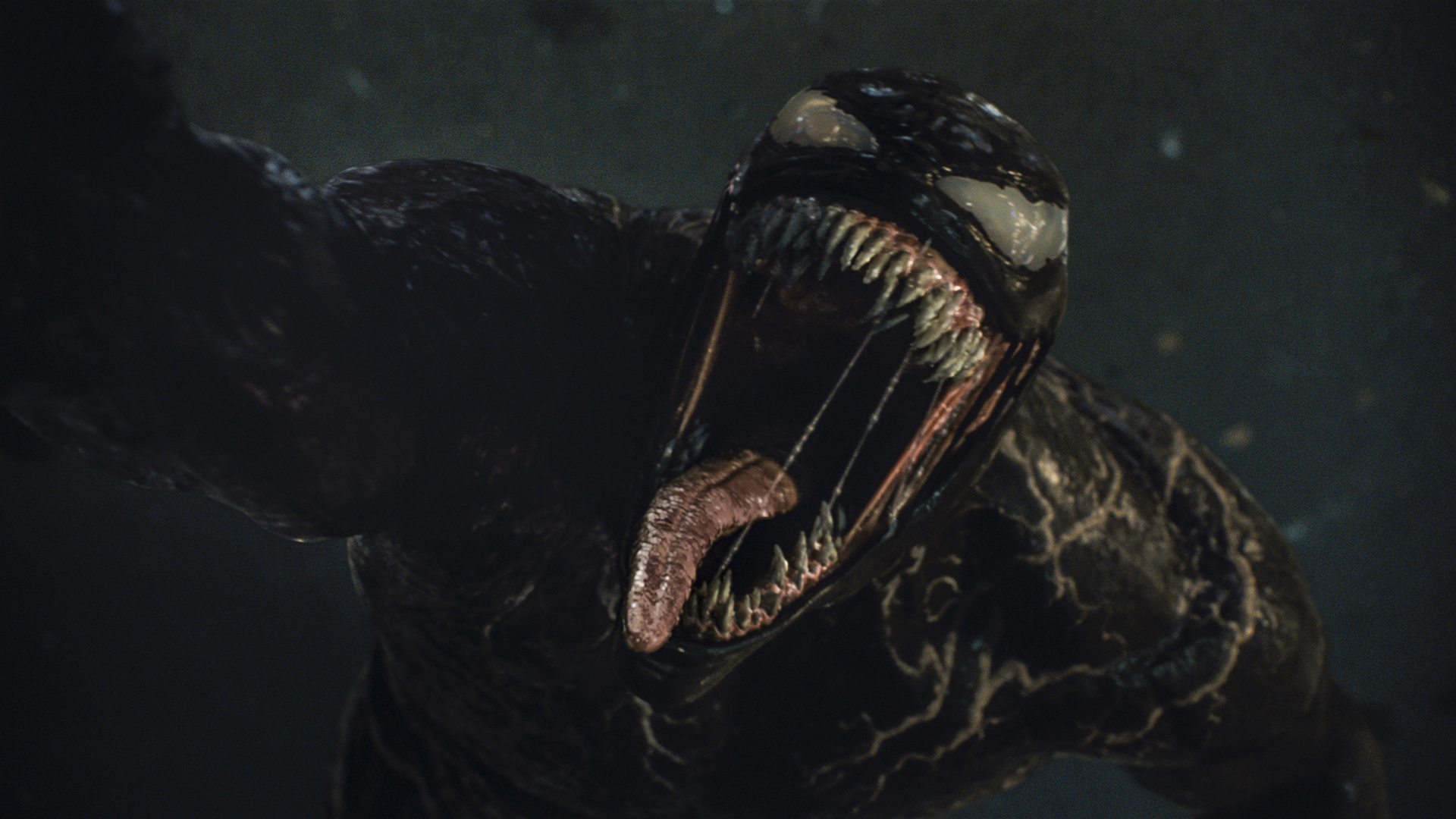 Prime Video: Trailer - Venom 2 : Let There Be Carnage