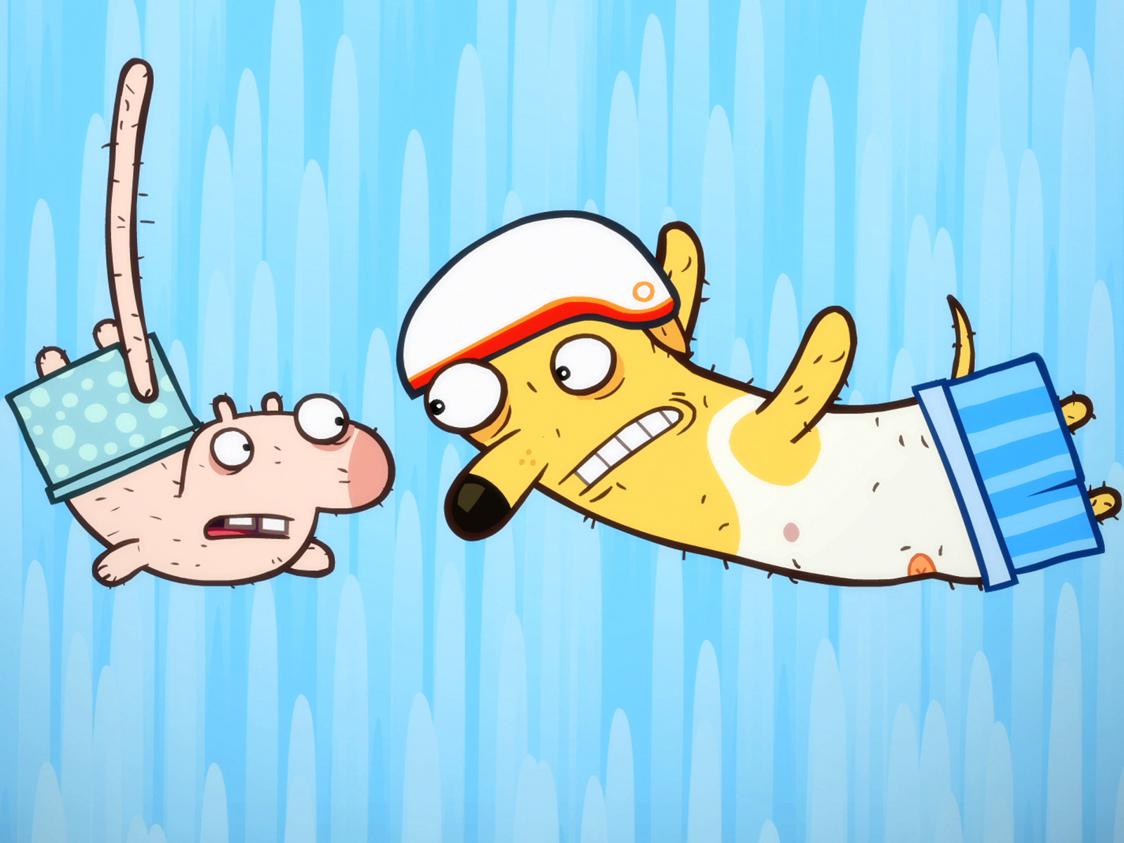 Prime Video: Almost Naked Animals