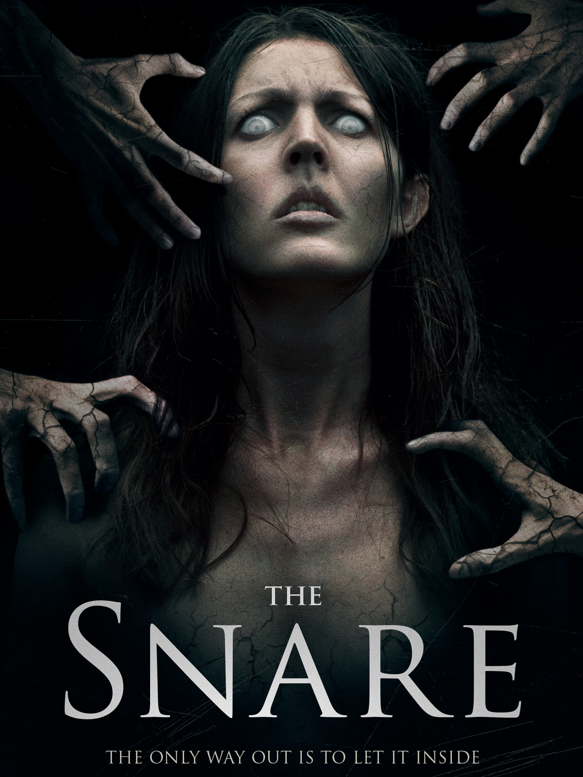 Prime Video: The Snare