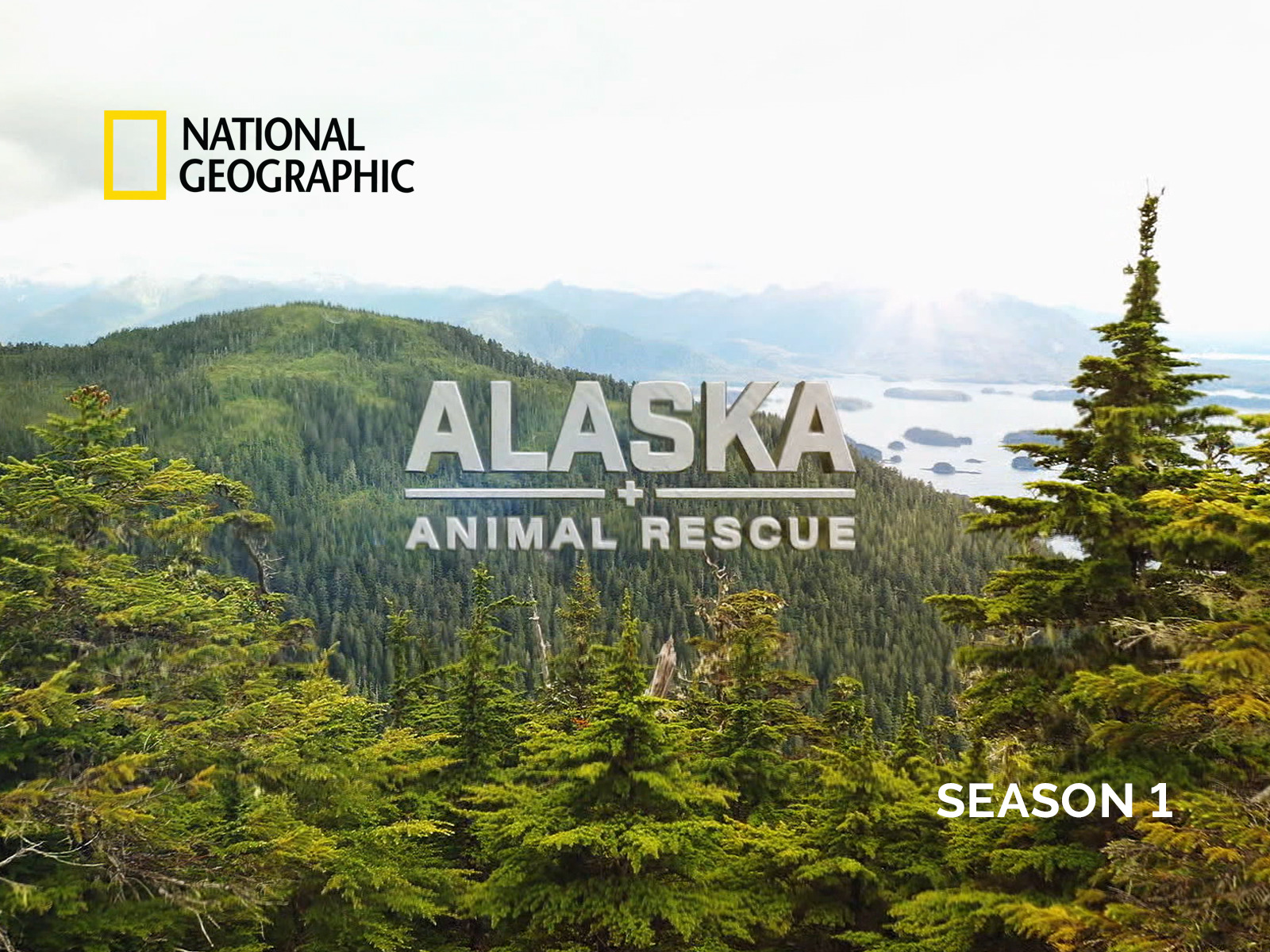 Prime Video: Alaska Animal Rescue - Season 1