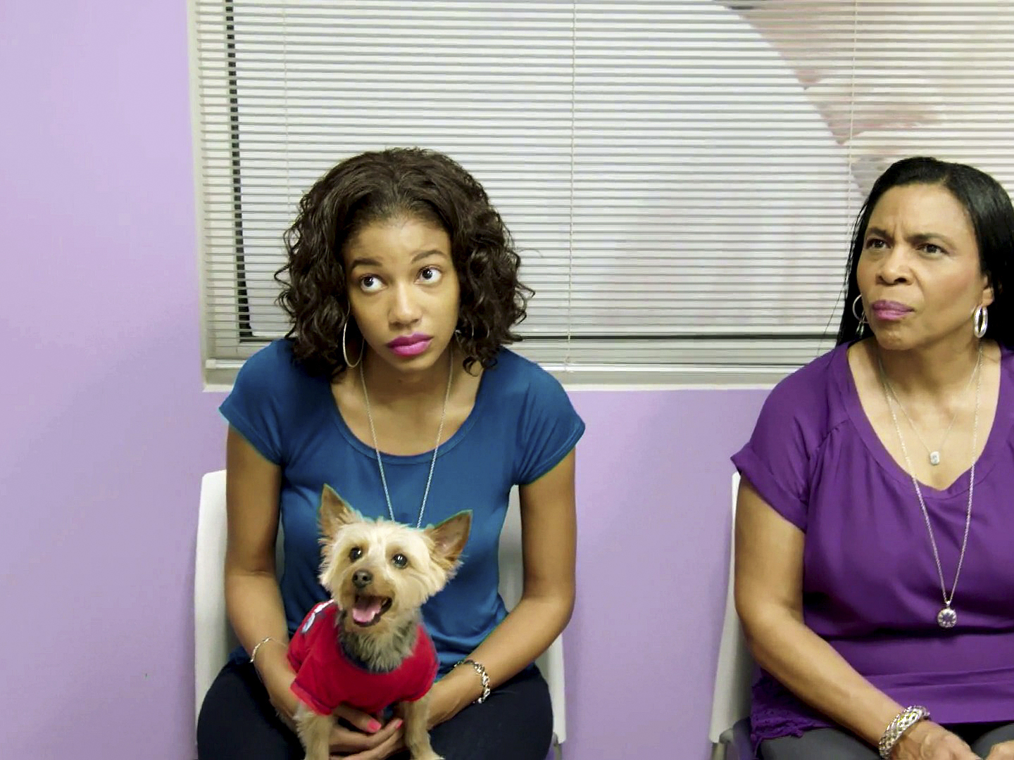 Prime Video: The Vet Life - Season 2