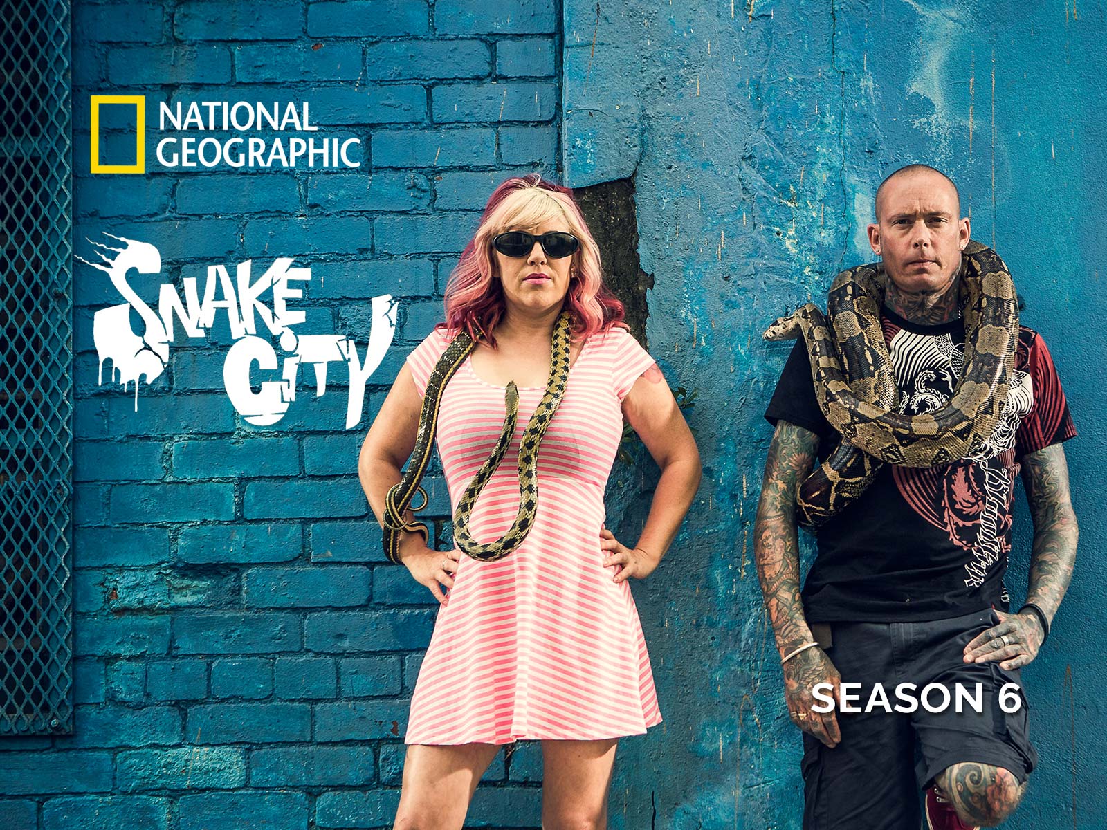 Prime Video: Snake City - Season 6