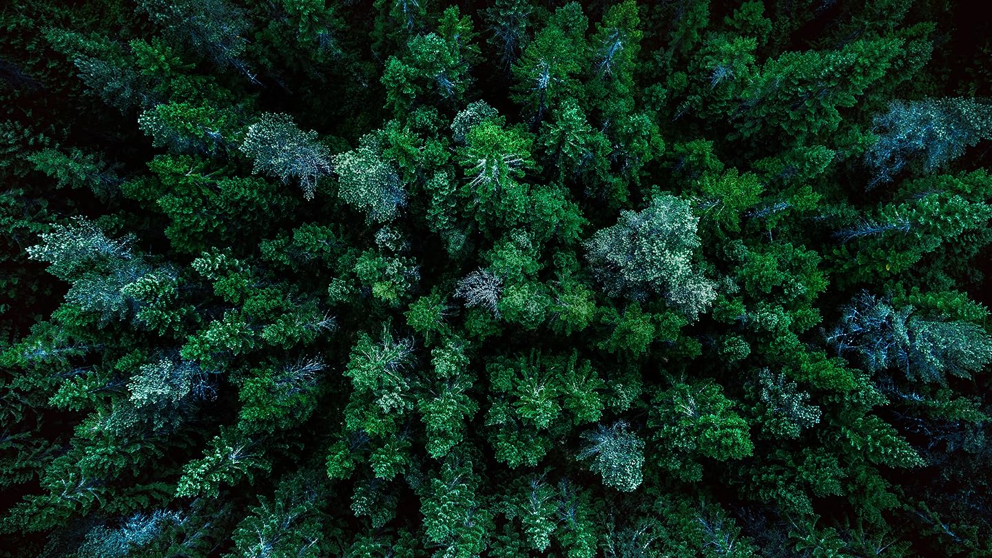 Watch A World of Calm - Season 1 | Prime Video