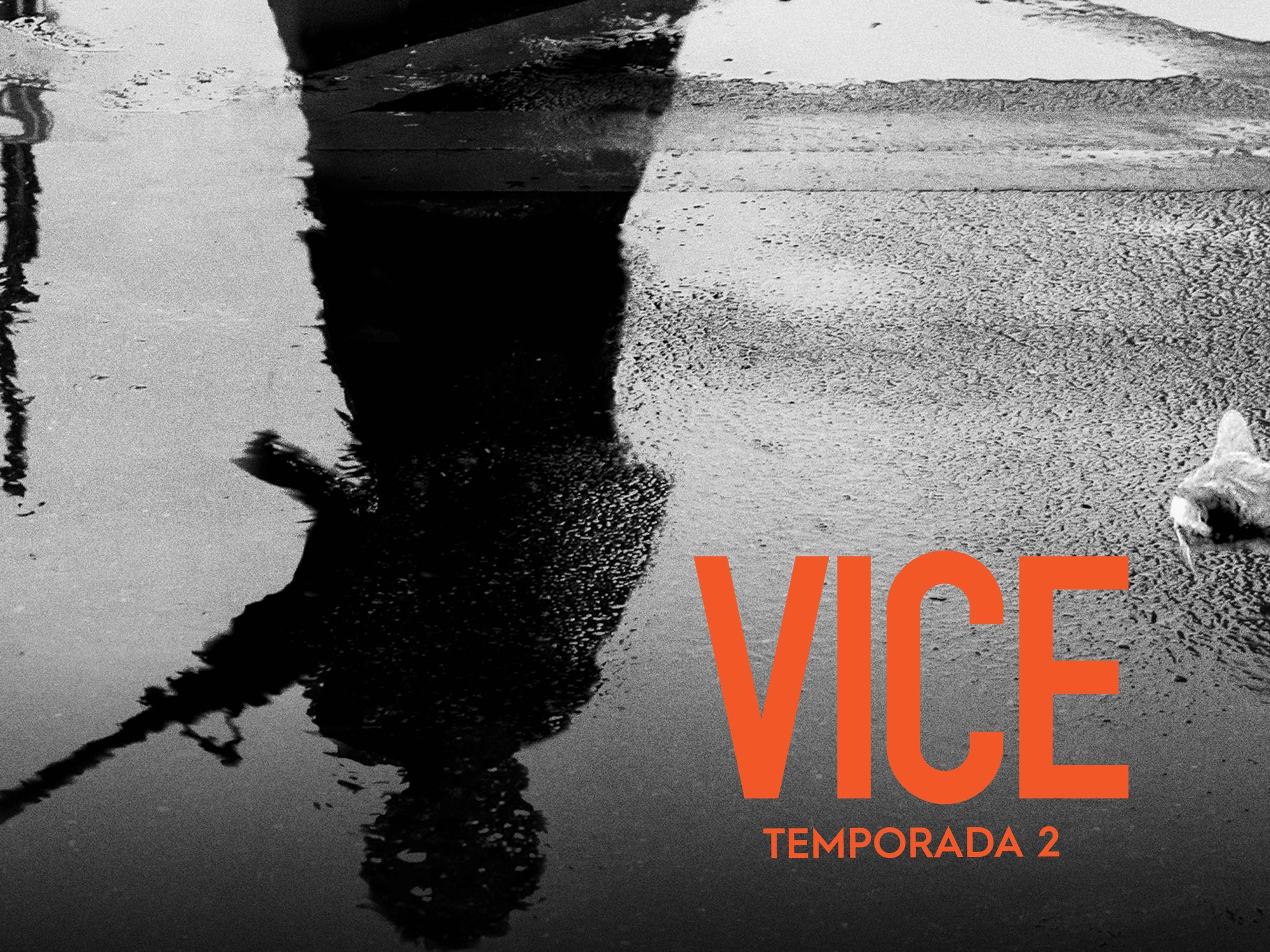 Prime Video: Vice-Season 02