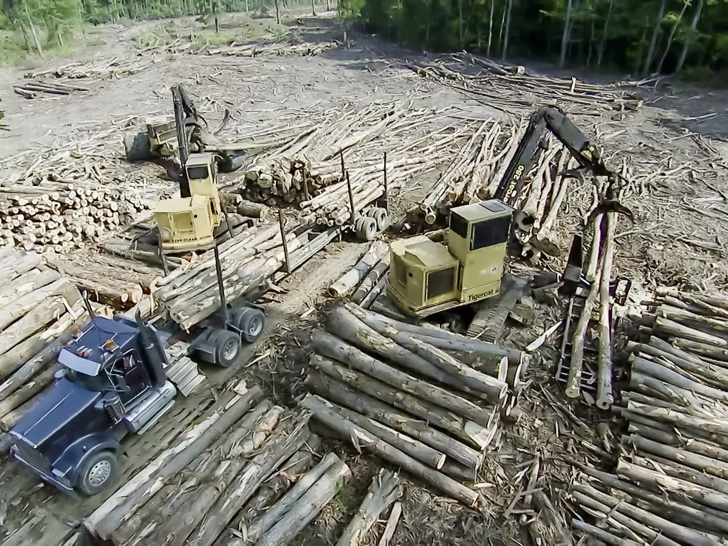 Prime Video: Swamp Loggers - Season 2