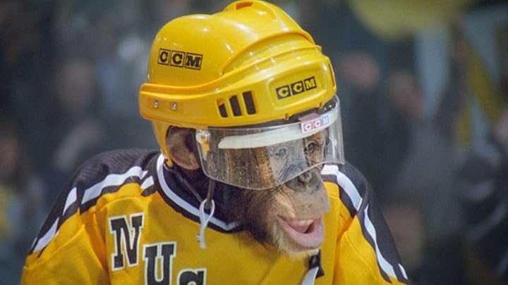 Amazon.com: MVP: Most Valuable Primate : Kevin Zegers, Oliver Muirhead ...
