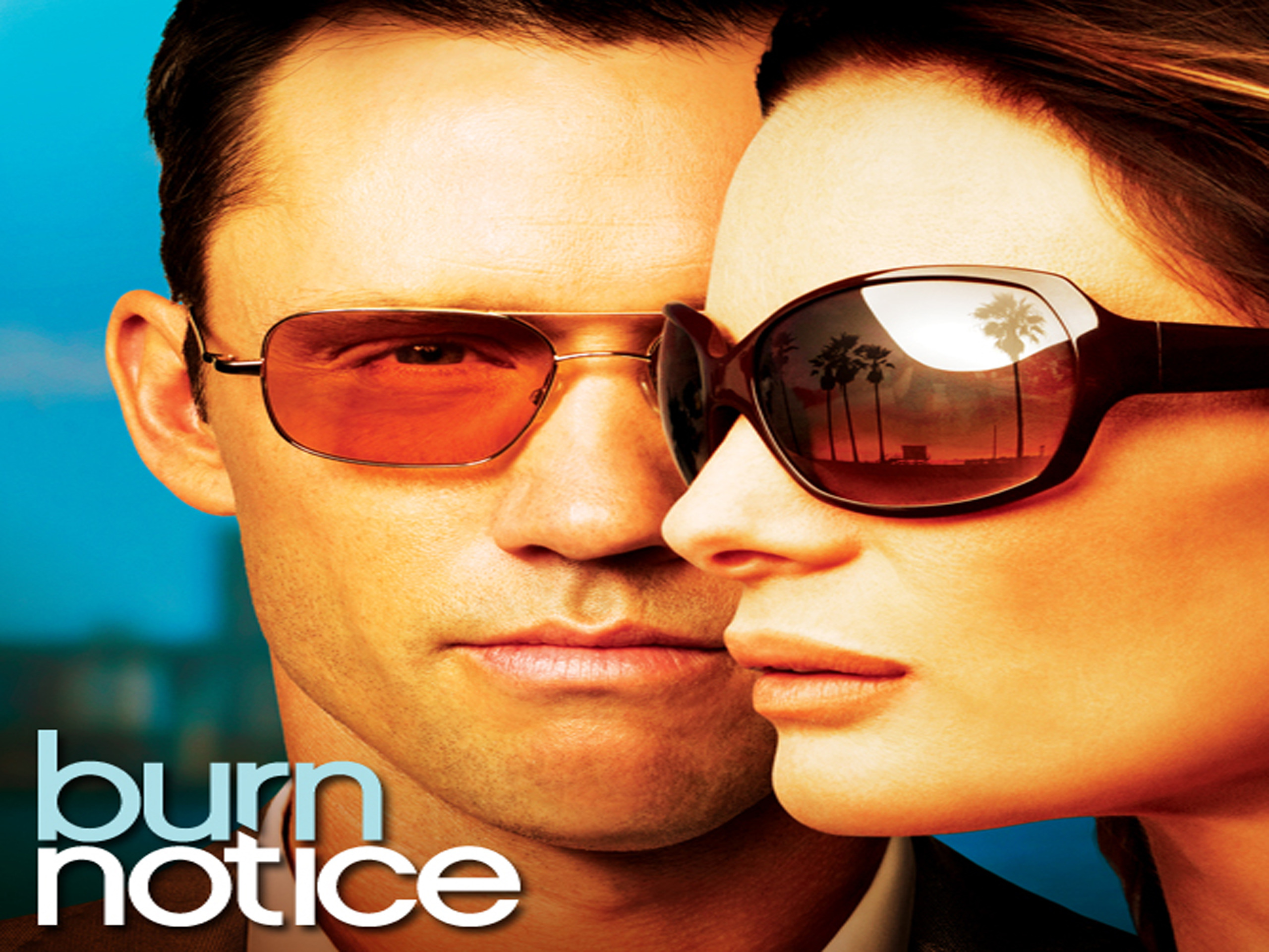 Prime Video: Burn Notice - Staffel 3