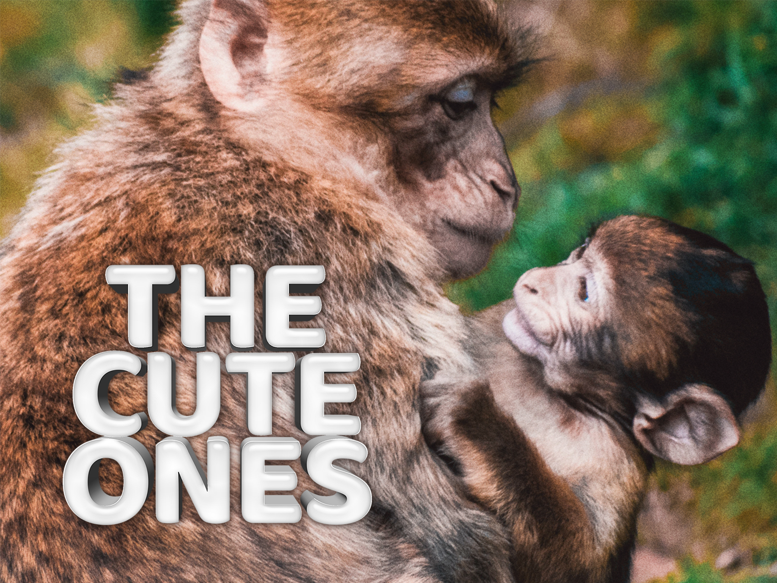 Prime Video: The Cute Ones - Season 1