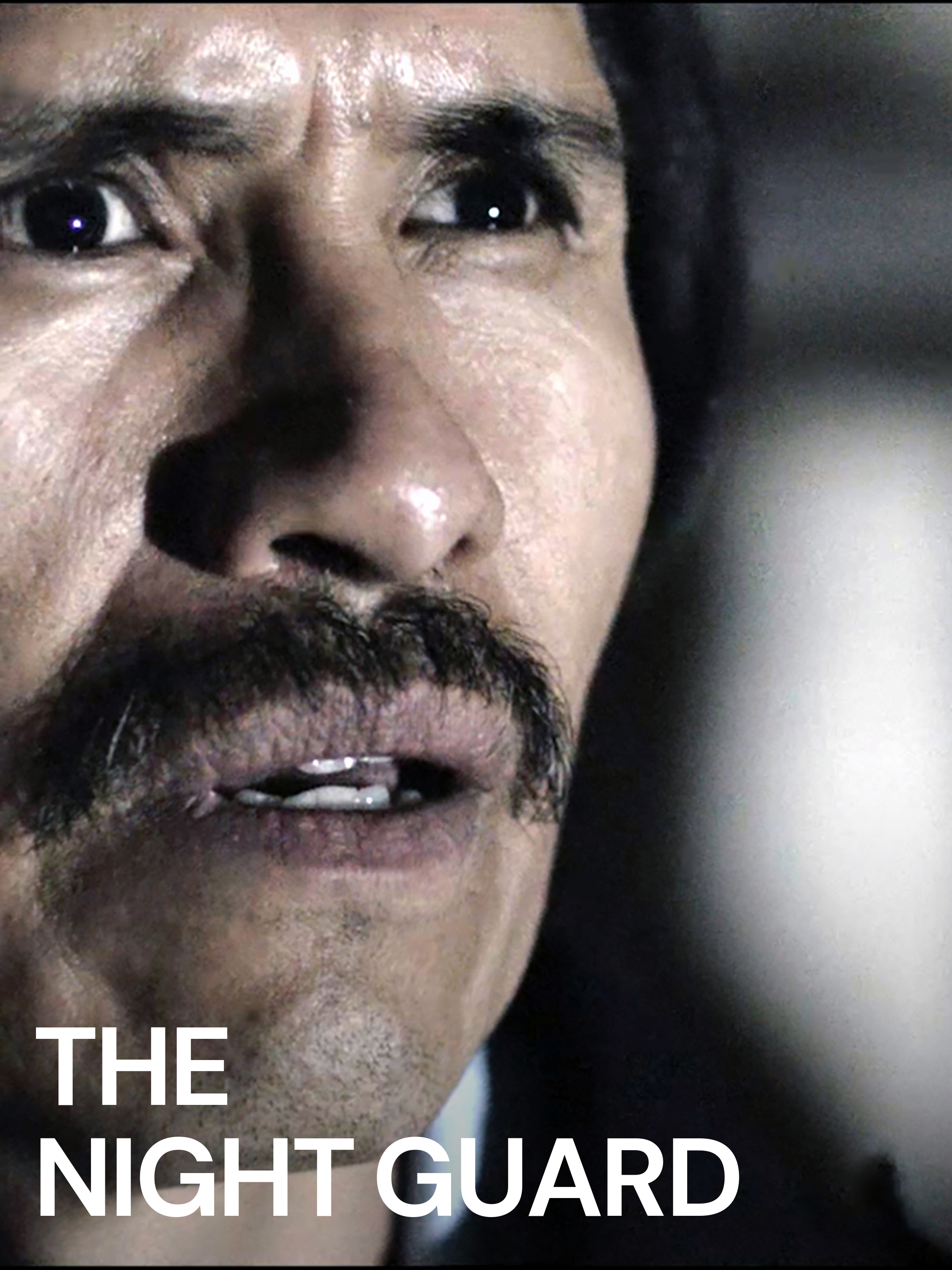 Prime Video: The Night Guard