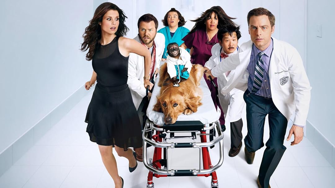 Watch Animal Practice Season 1 | Prime Video