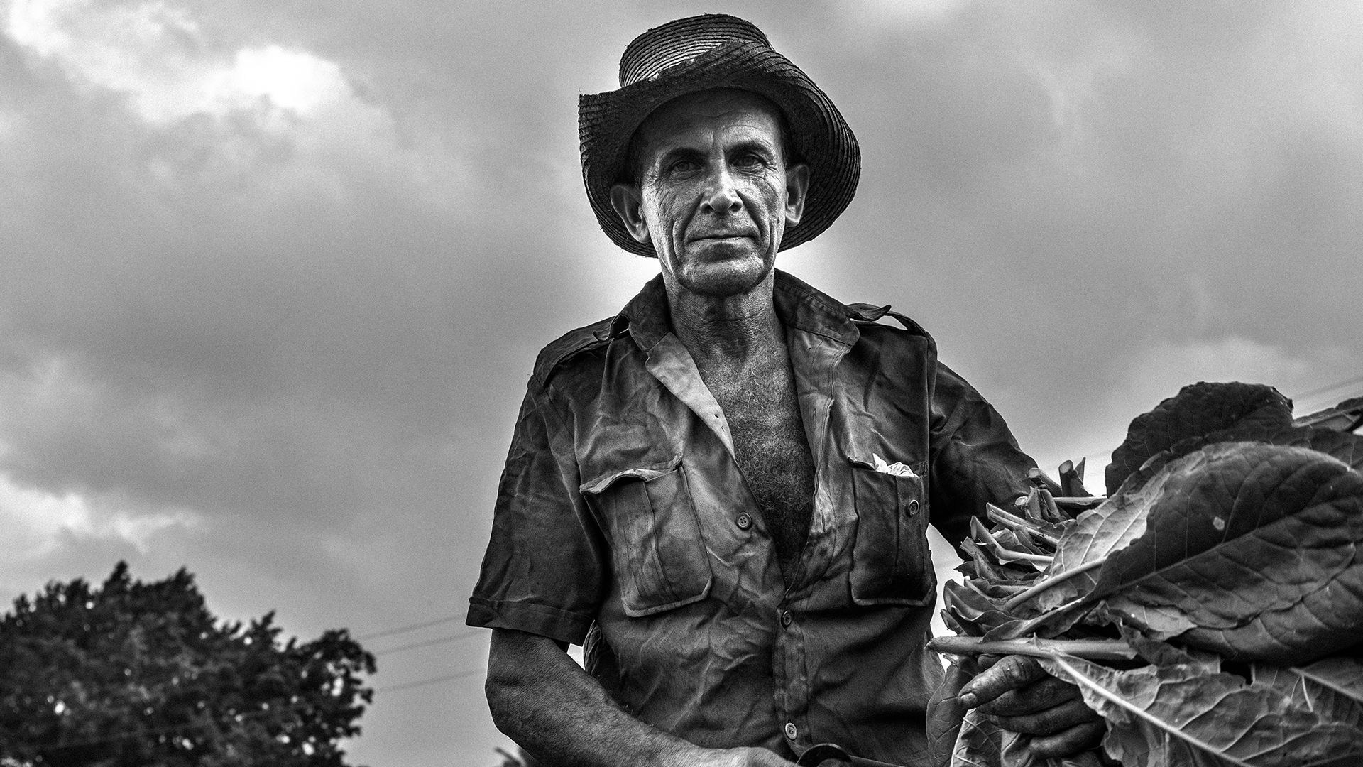 Prime Video: Campesino