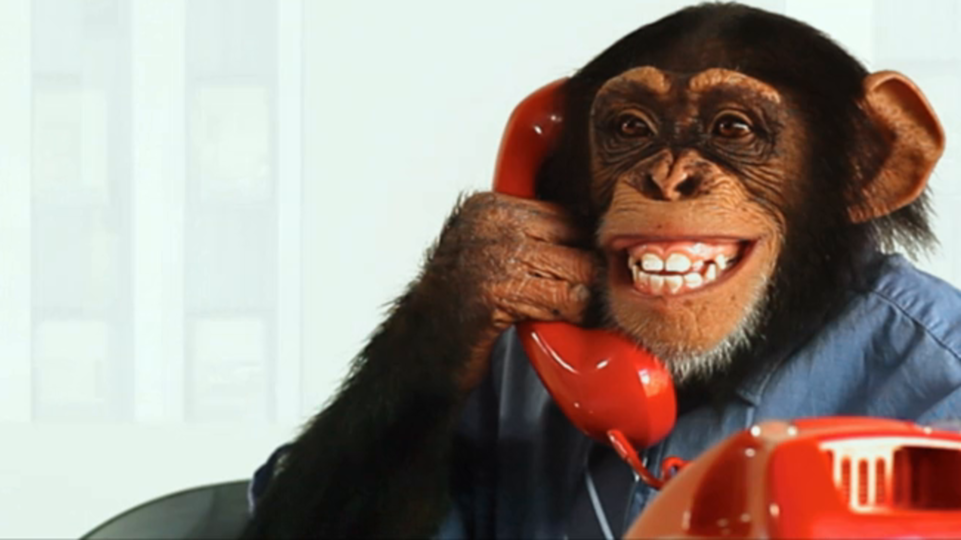 Prime Video: Zoofari Season 1