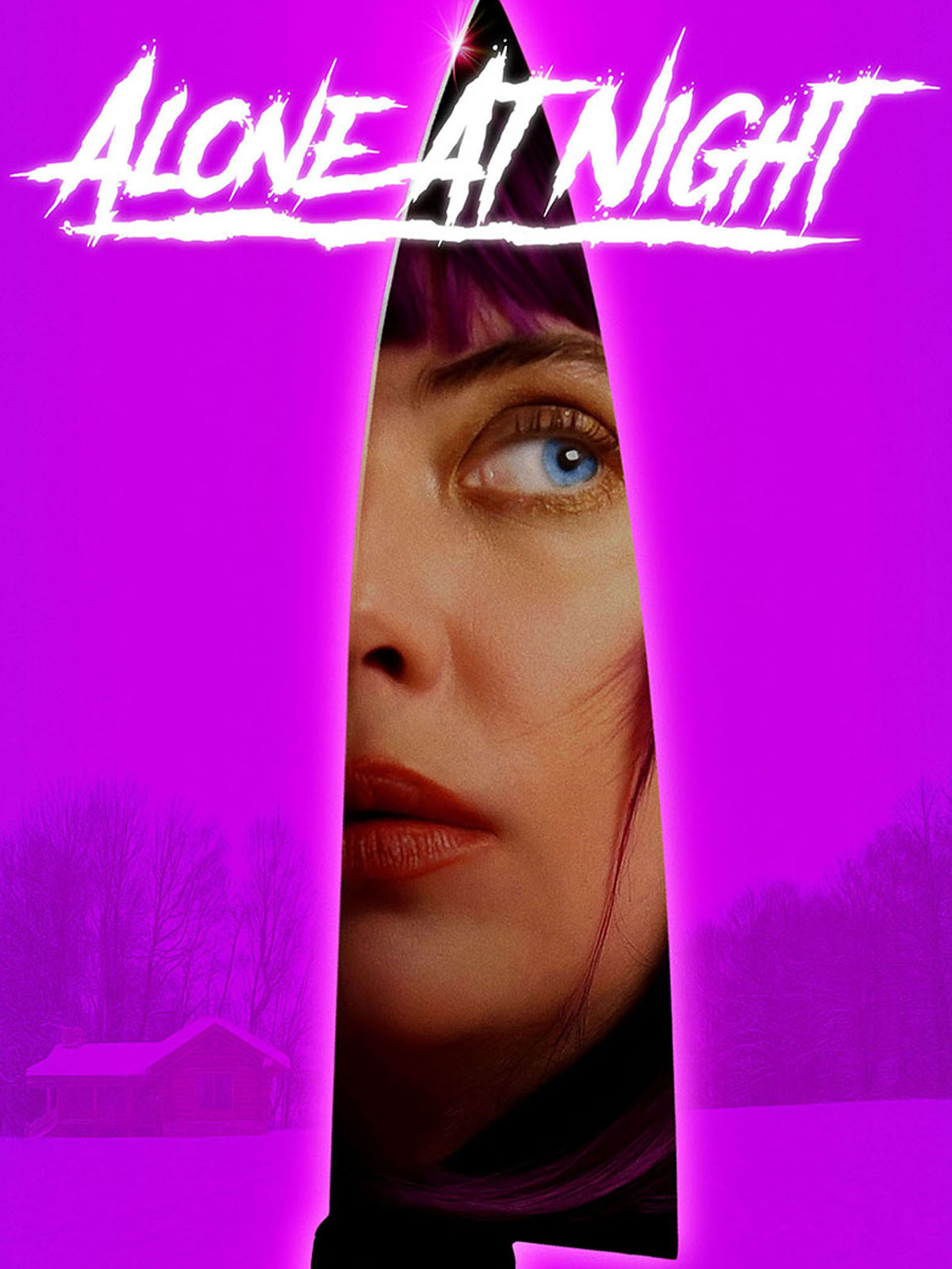 Prime Video: Alone at Night