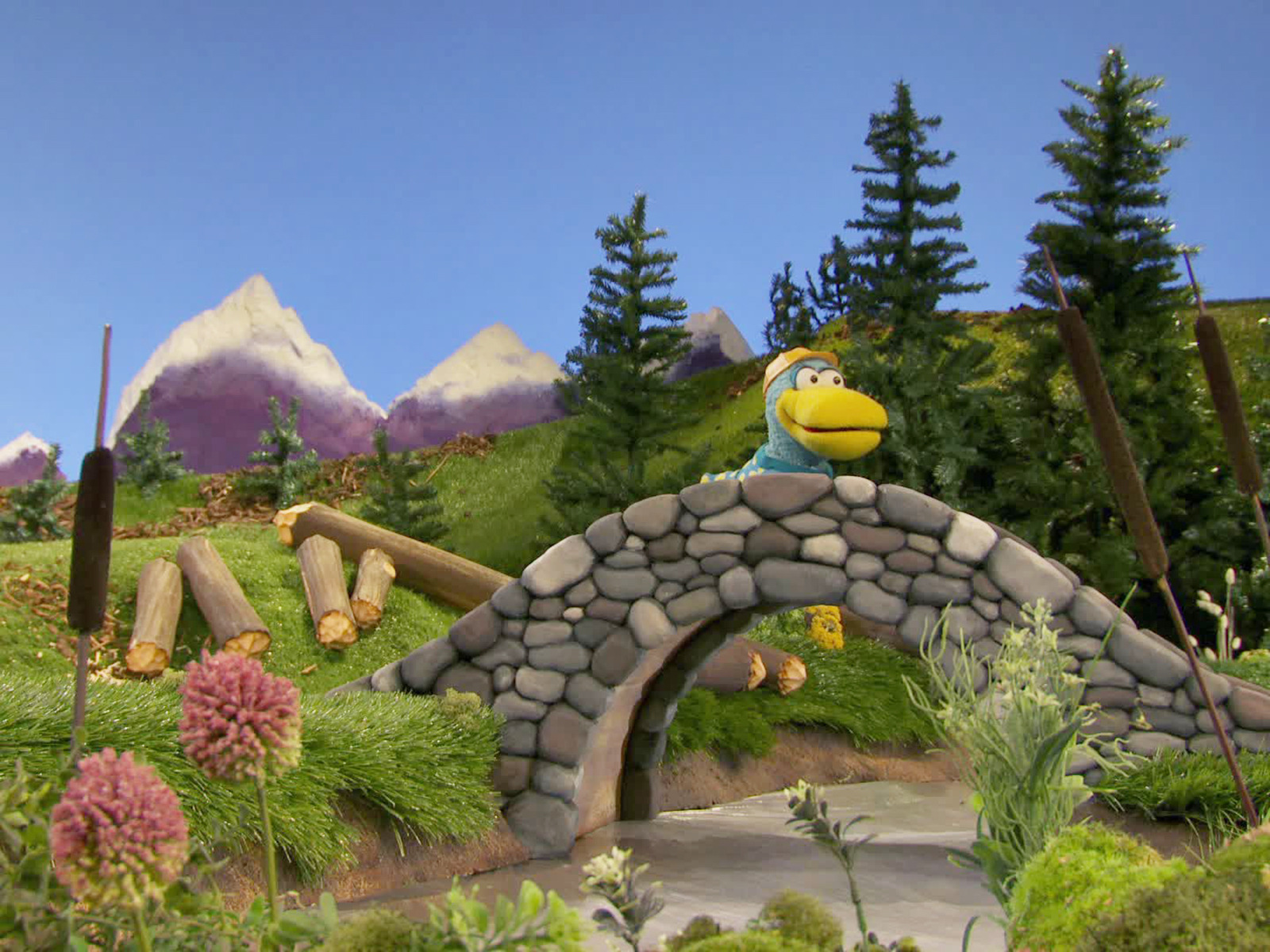 Prime Video: Pajanimals