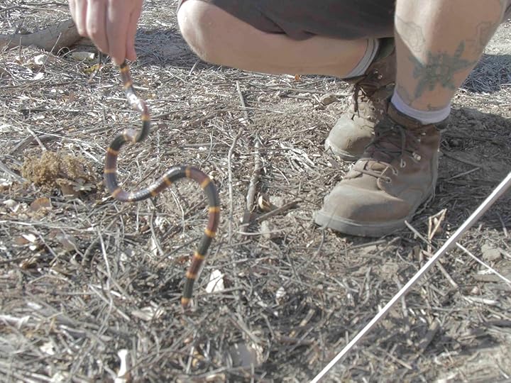 Prime Video: Venom Hunters - Season 1