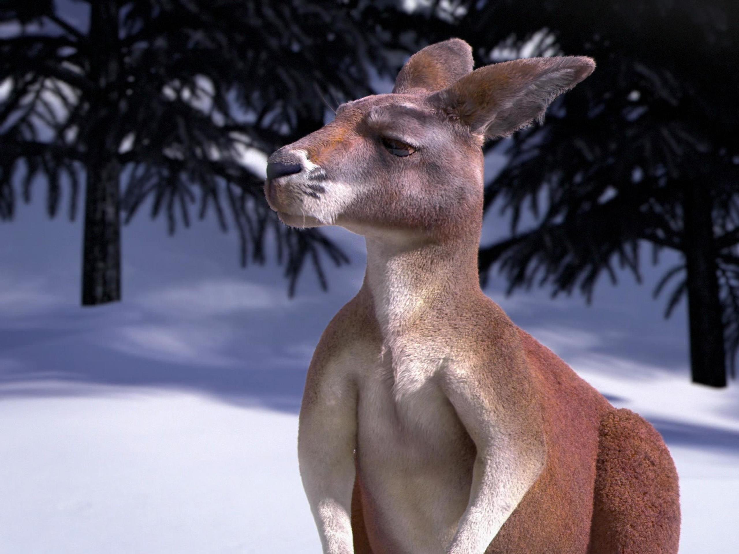 Prime Video: Athleticus Season 2