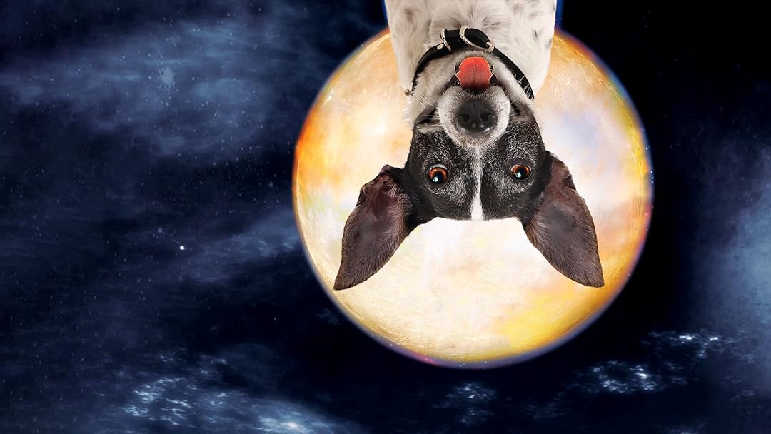 Amazon.de: Vampire Dog ansehen | Prime Video