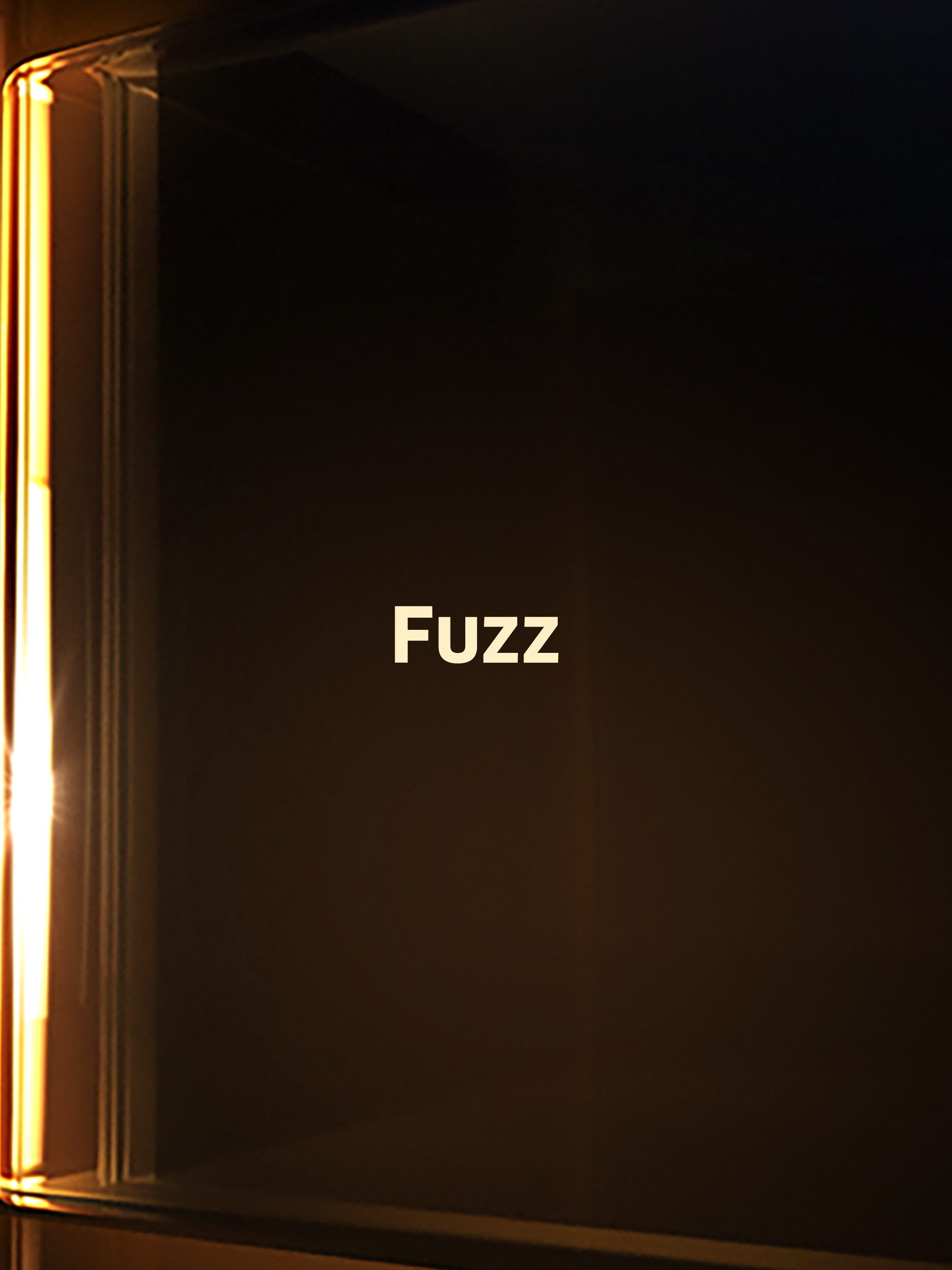 Prime Video: Fuzz