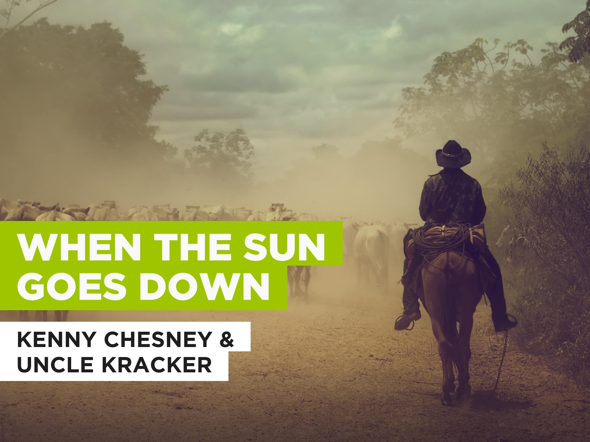 When The Sun Goes Down Kenny Chesney