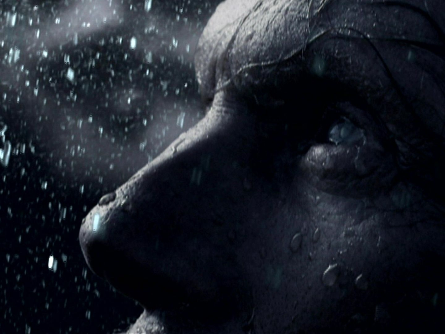 Prime Video: Curiosity - Season 1