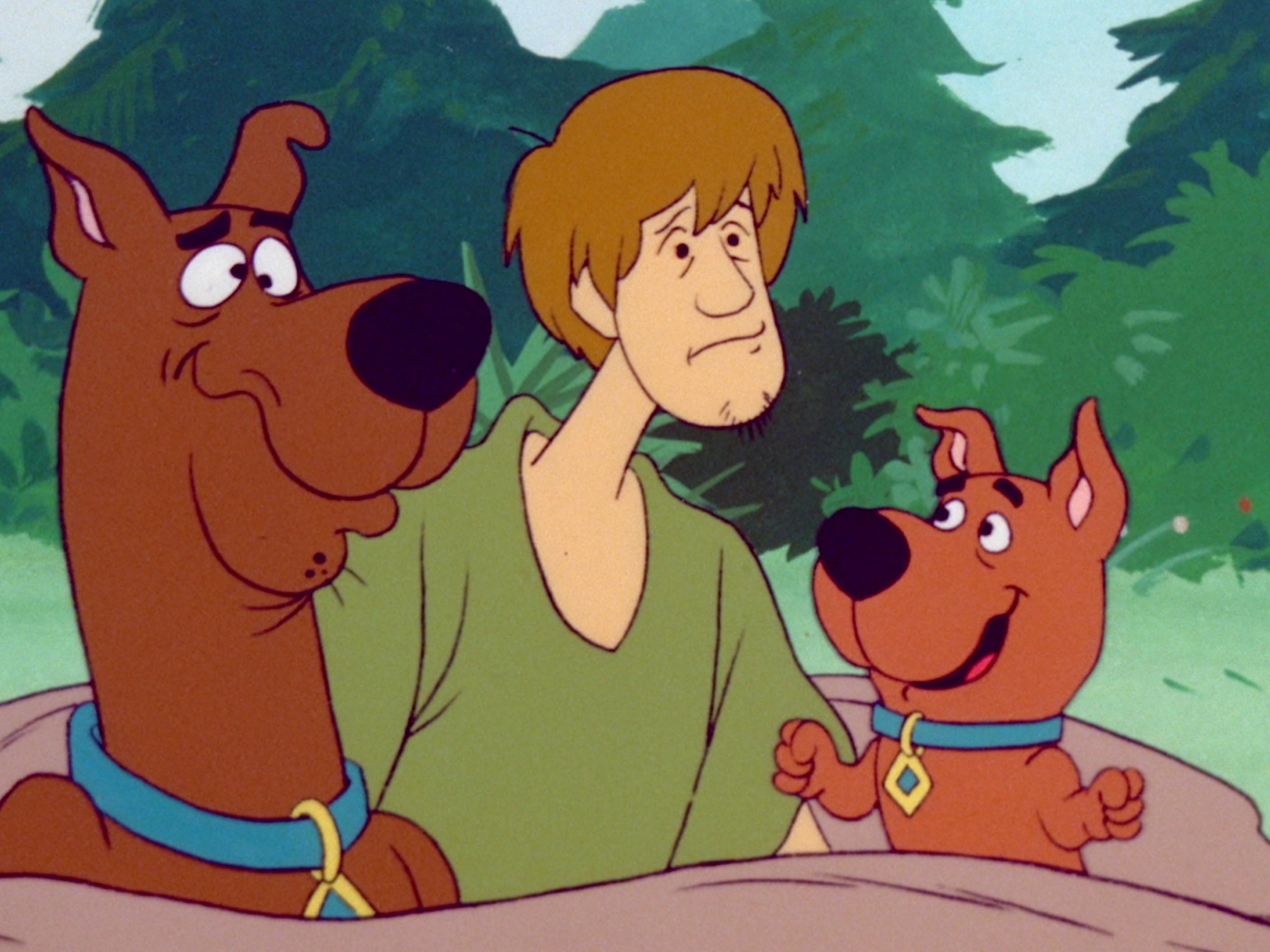 Prime Video: Scooby-Doo and Scrappy-Doo - Season 4