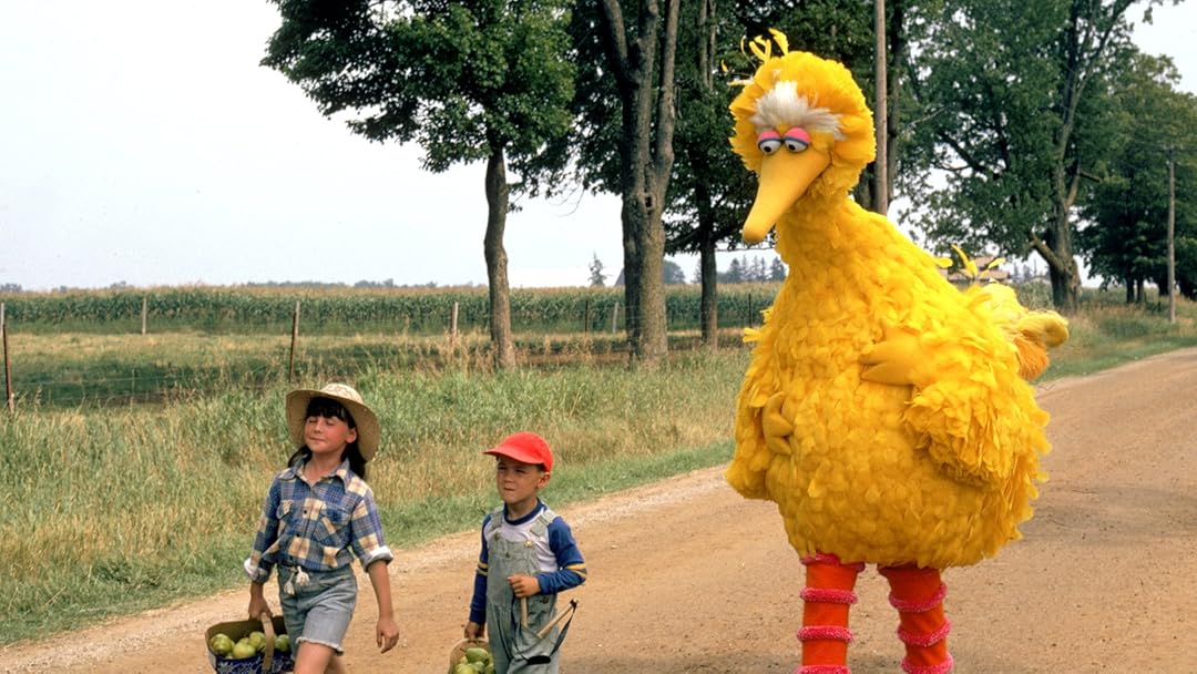Prime Video: Sesame Street Presents: Follow That Bird