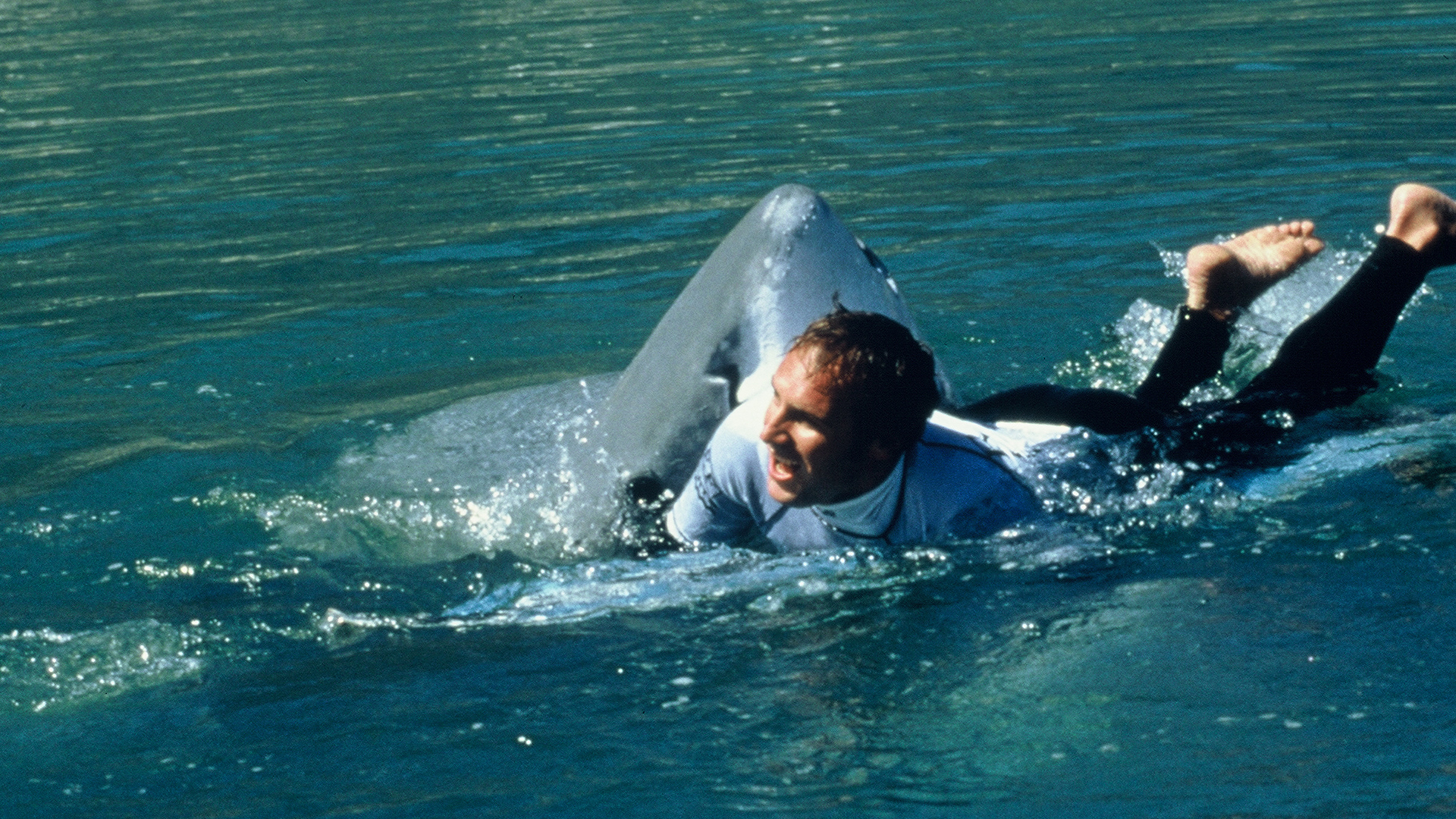 Watch Shark Attack 2 | Prime Video