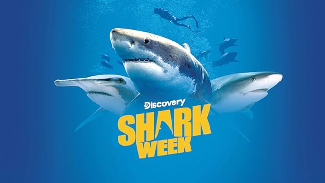 Kari Byron Shark Week