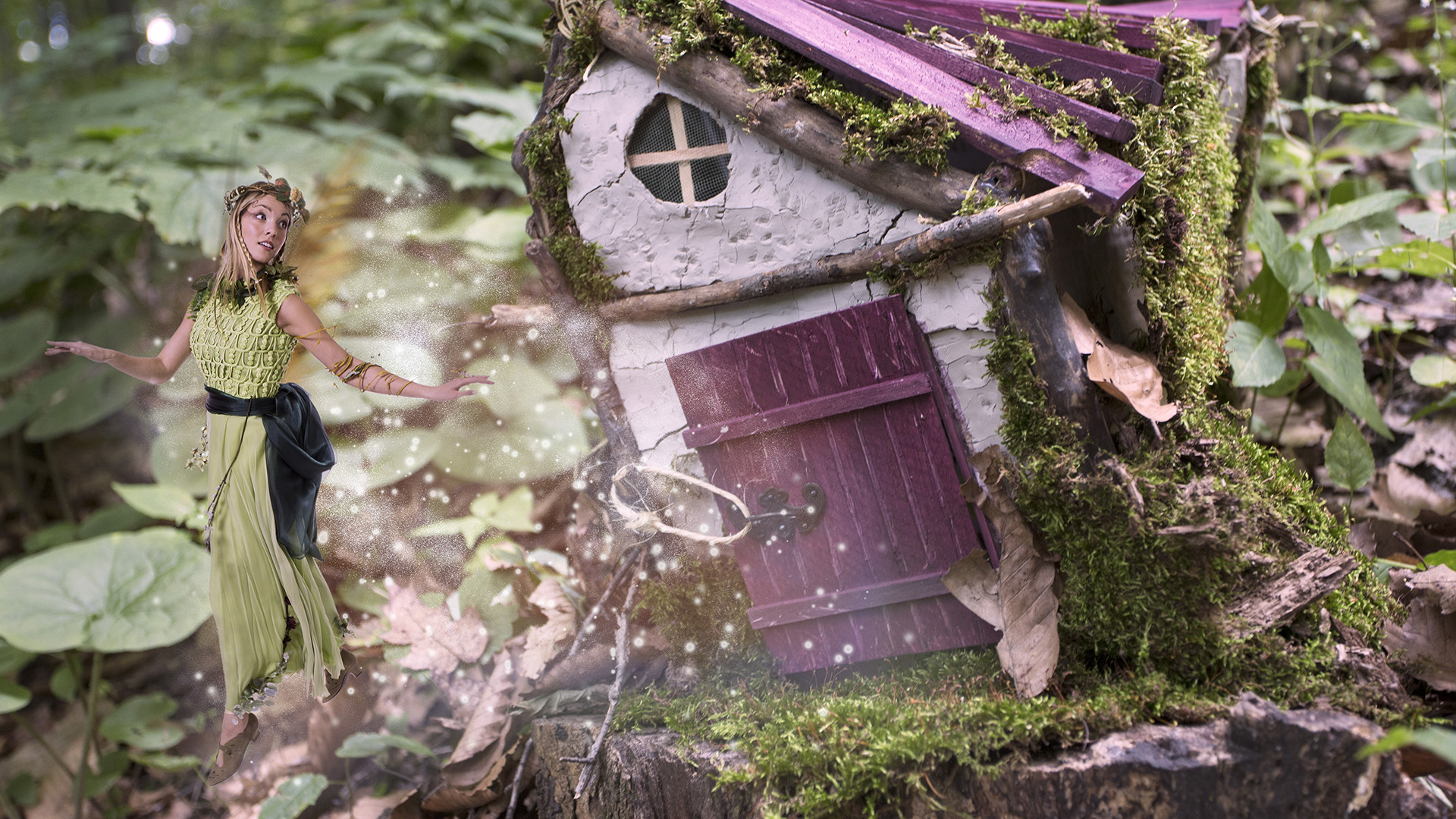 Amazon.co.jp: Forest Fairies : Emily Wilder, Adrian Cowan, Gary ...