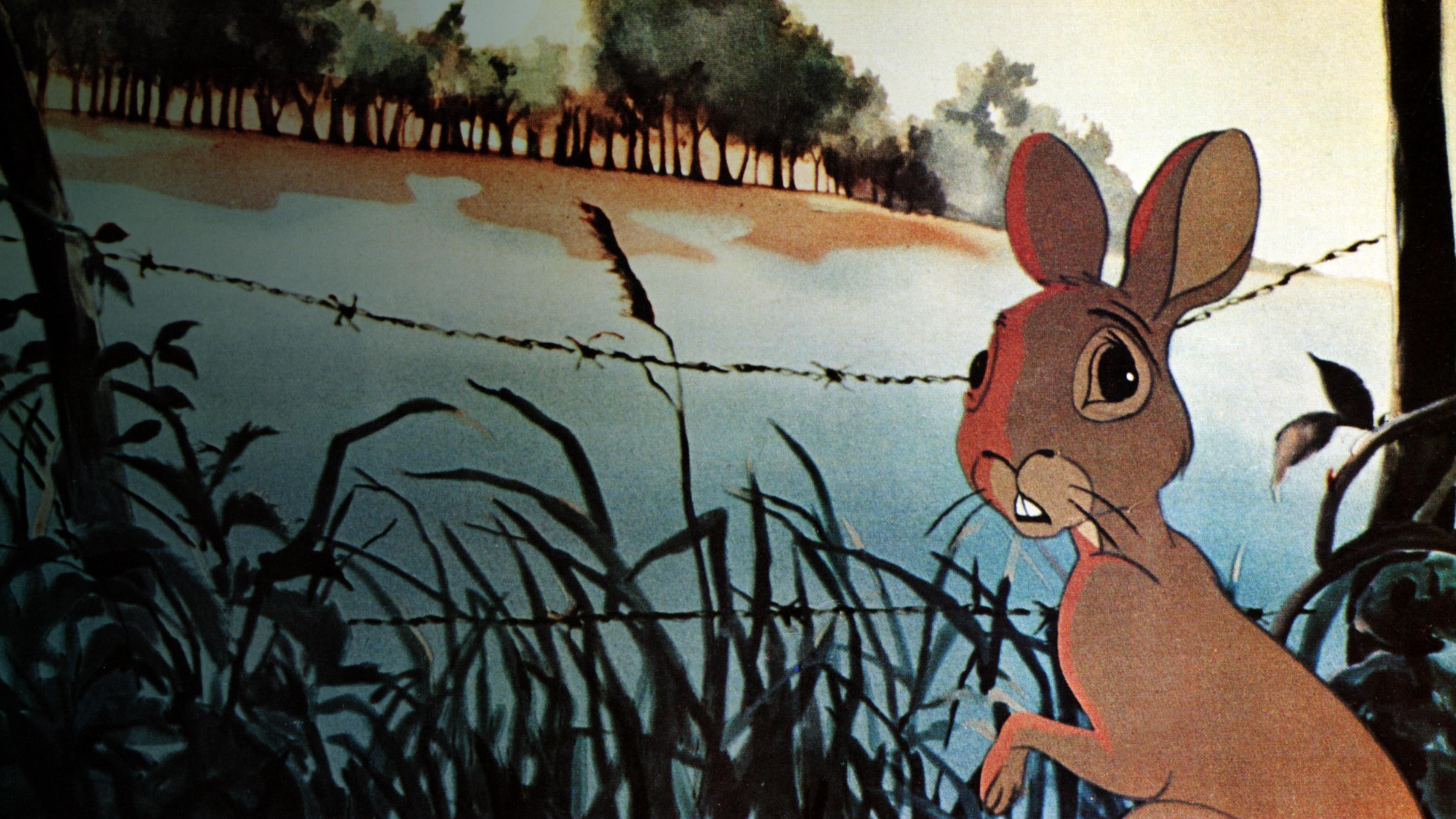 Amazon.com: Watch Watership Down | Prime Video