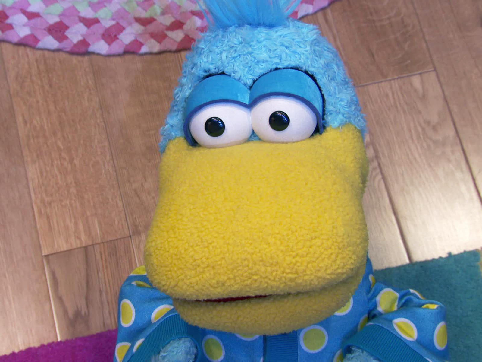 Prime Video: Pajanimals