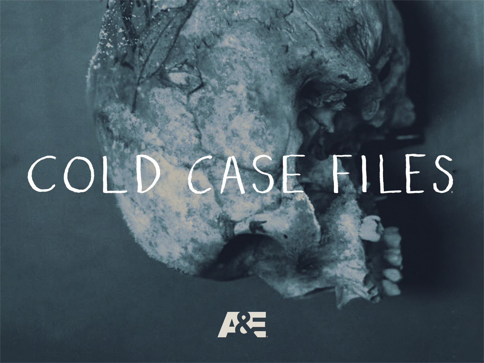 Prime Video: Cold Case Files