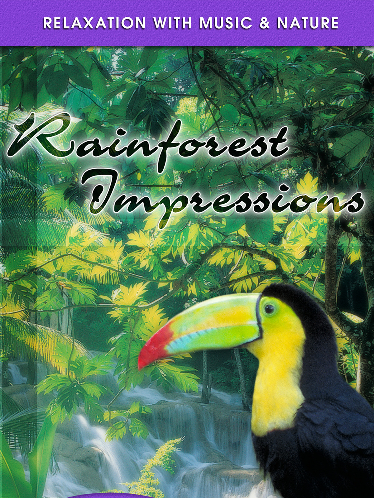 Prime Video: Rainforest Impressions: Tranquil World - Relaxation with ...