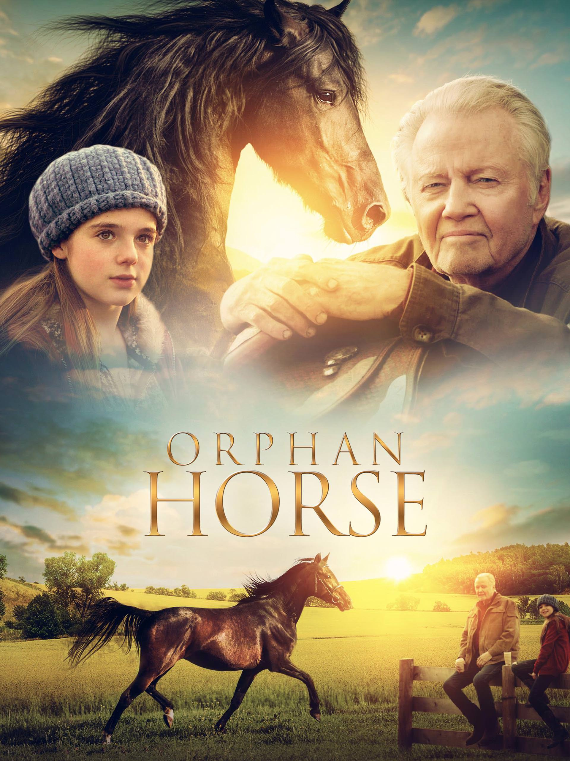 Prime Video: Orphan Horse