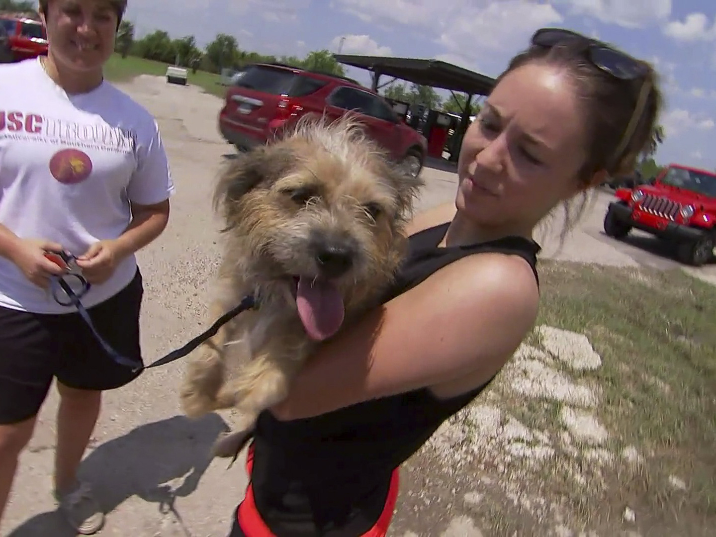 Prime Video: Surviving Harvey: Animals After the Storm - Season 1