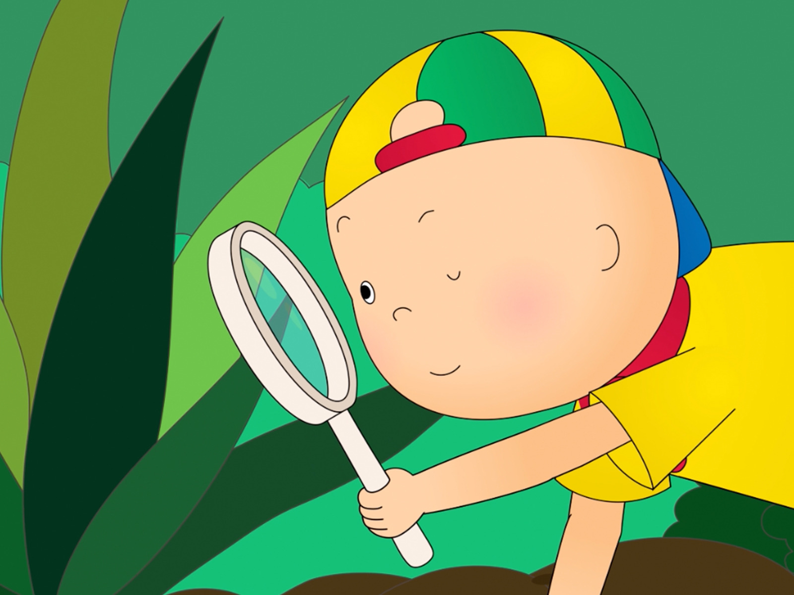 Prime Video: Caillou's New Adventures