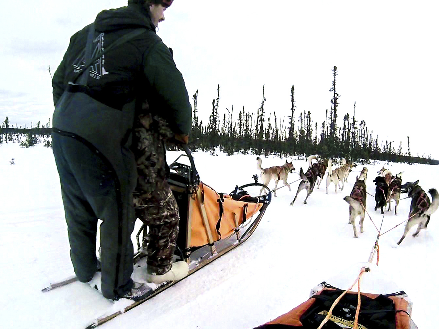 Prime Video: Wild West Alaska - Season 2