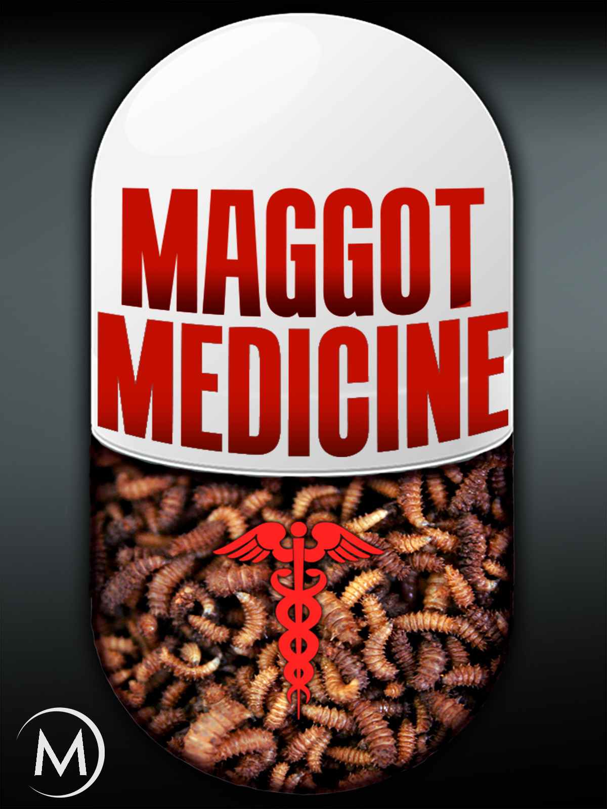 Prime Video: Maggot Medicine