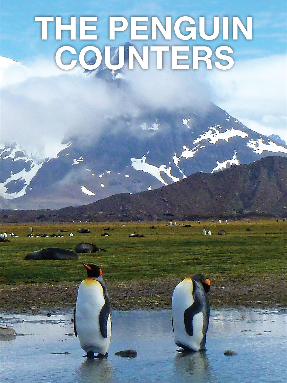 Prime Video: The Penguin Counters