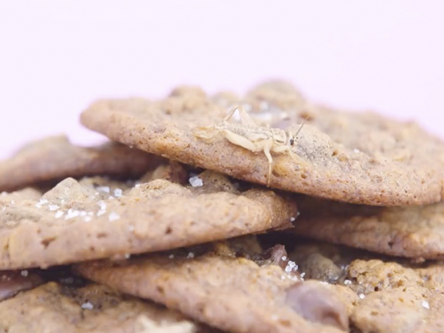 Prime Video: Best of POPSUGAR - Season 1