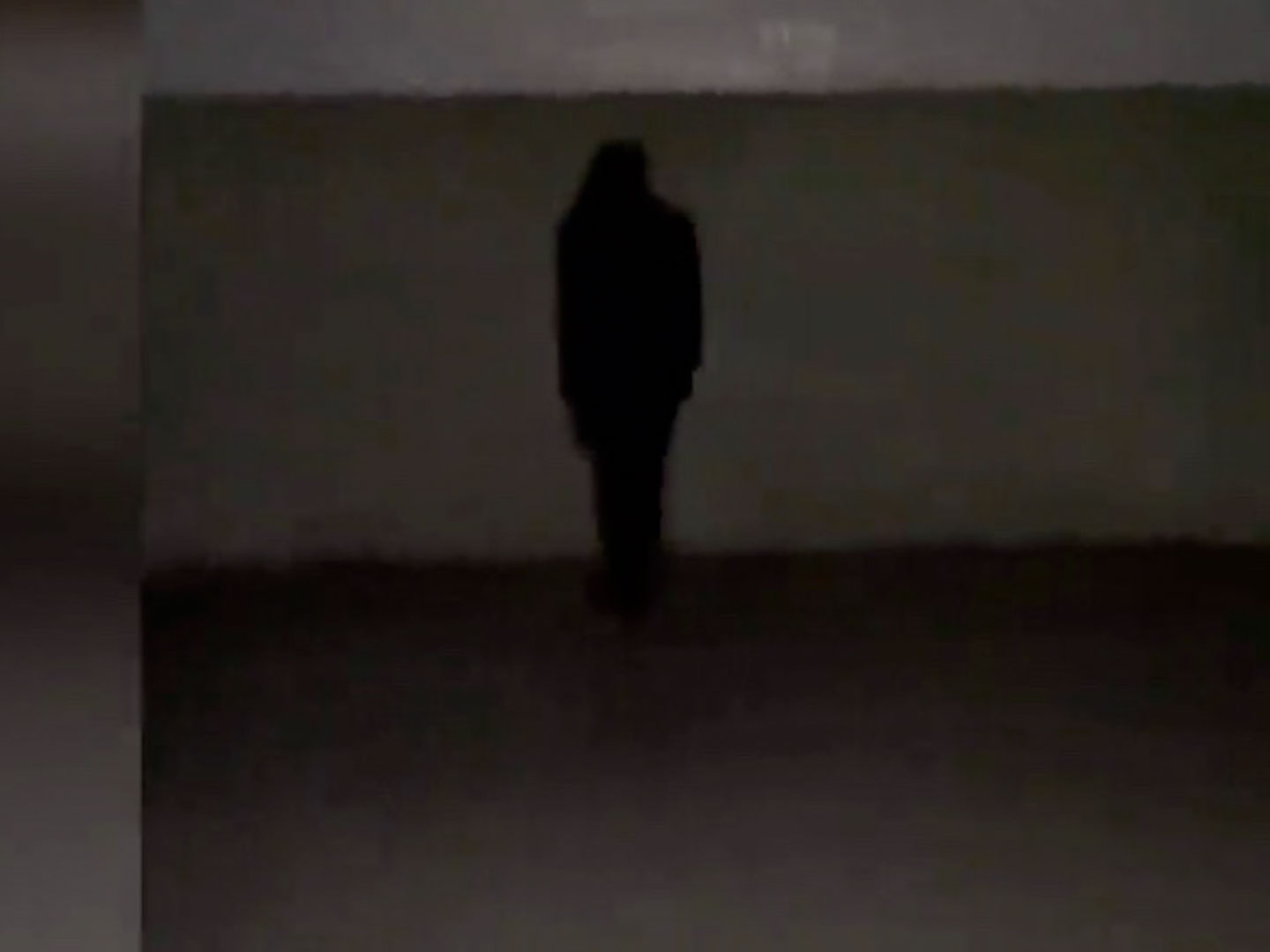 Prime Video: Paranormal Caught on Camera - Season 5