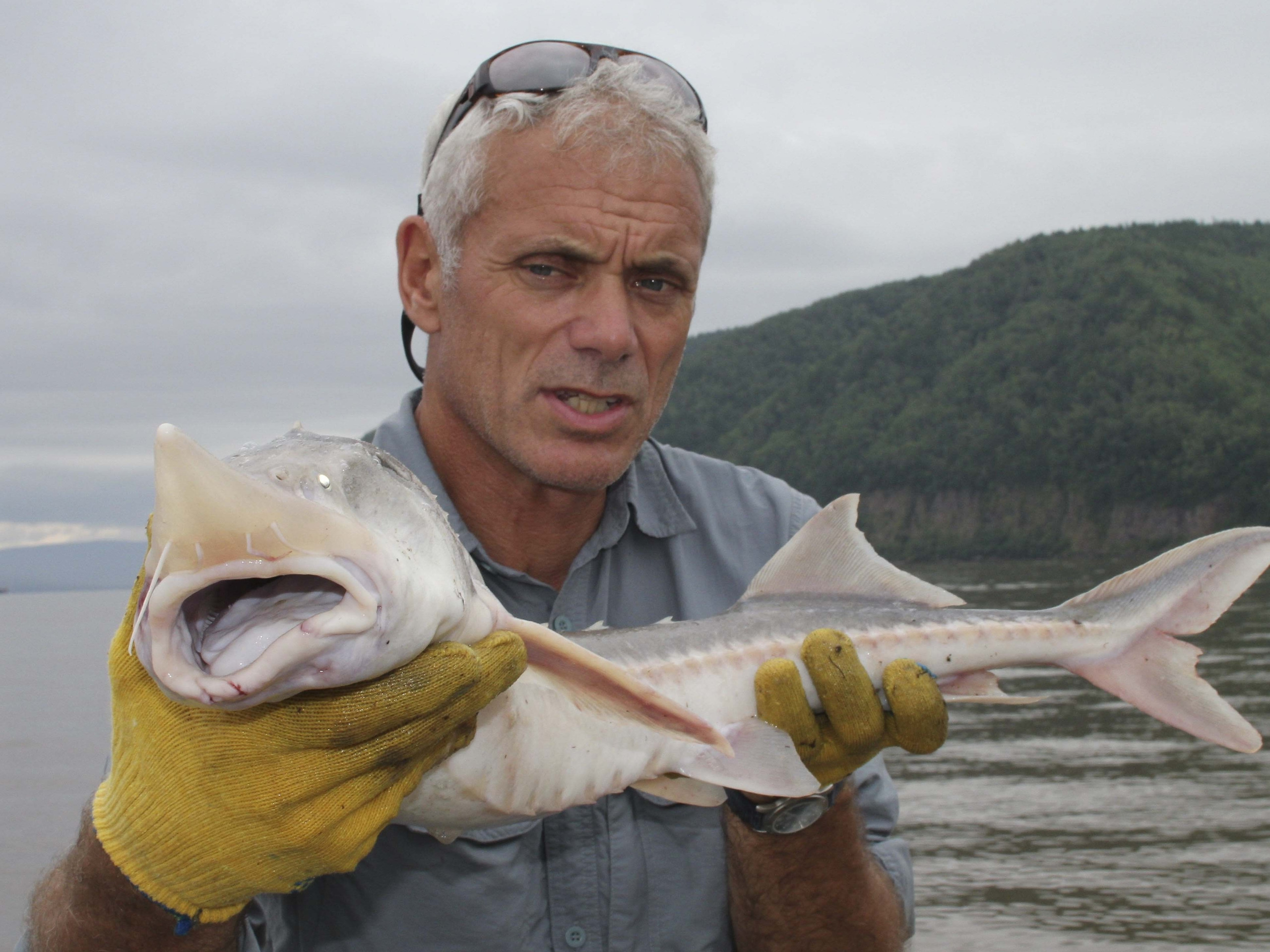 Prime Video: River Monsters - Season 4