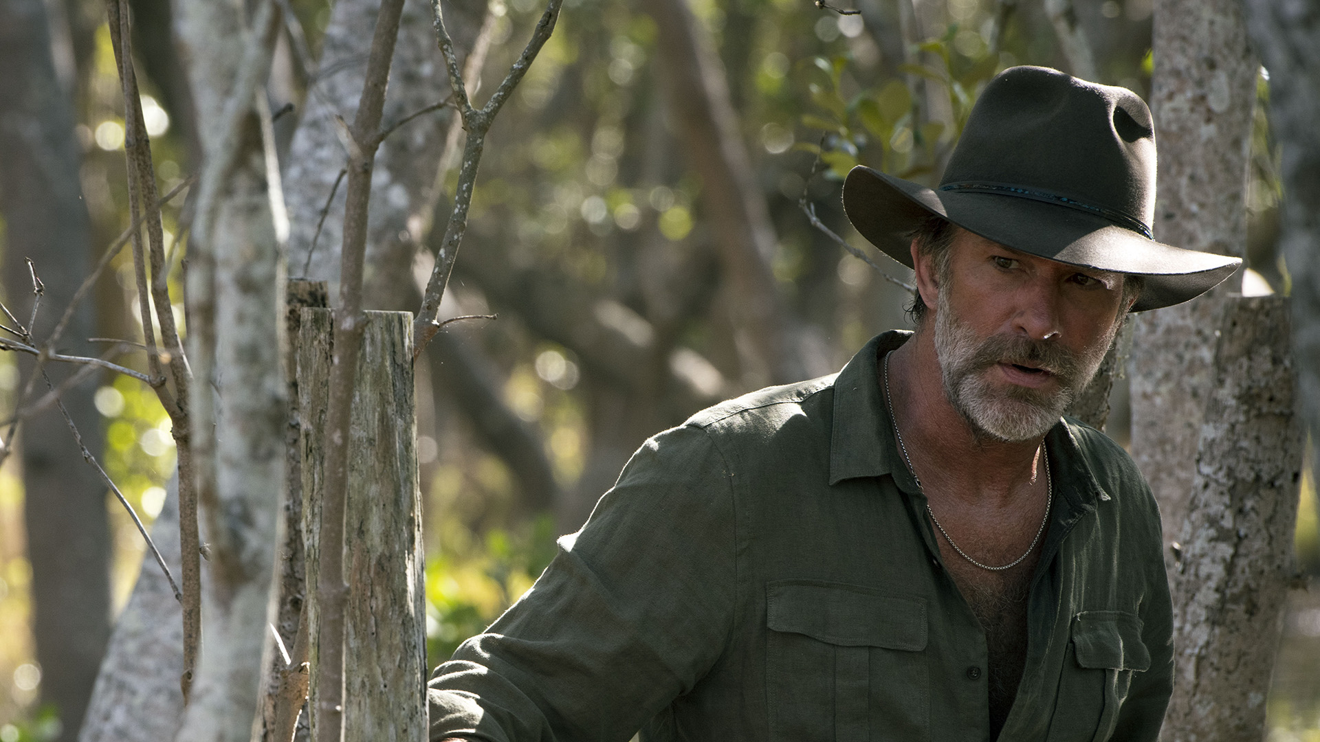 Watch Troppo Season 1 | Prime Video