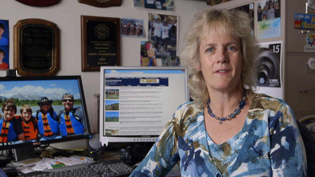 Watch Food Evolution | Prime Video