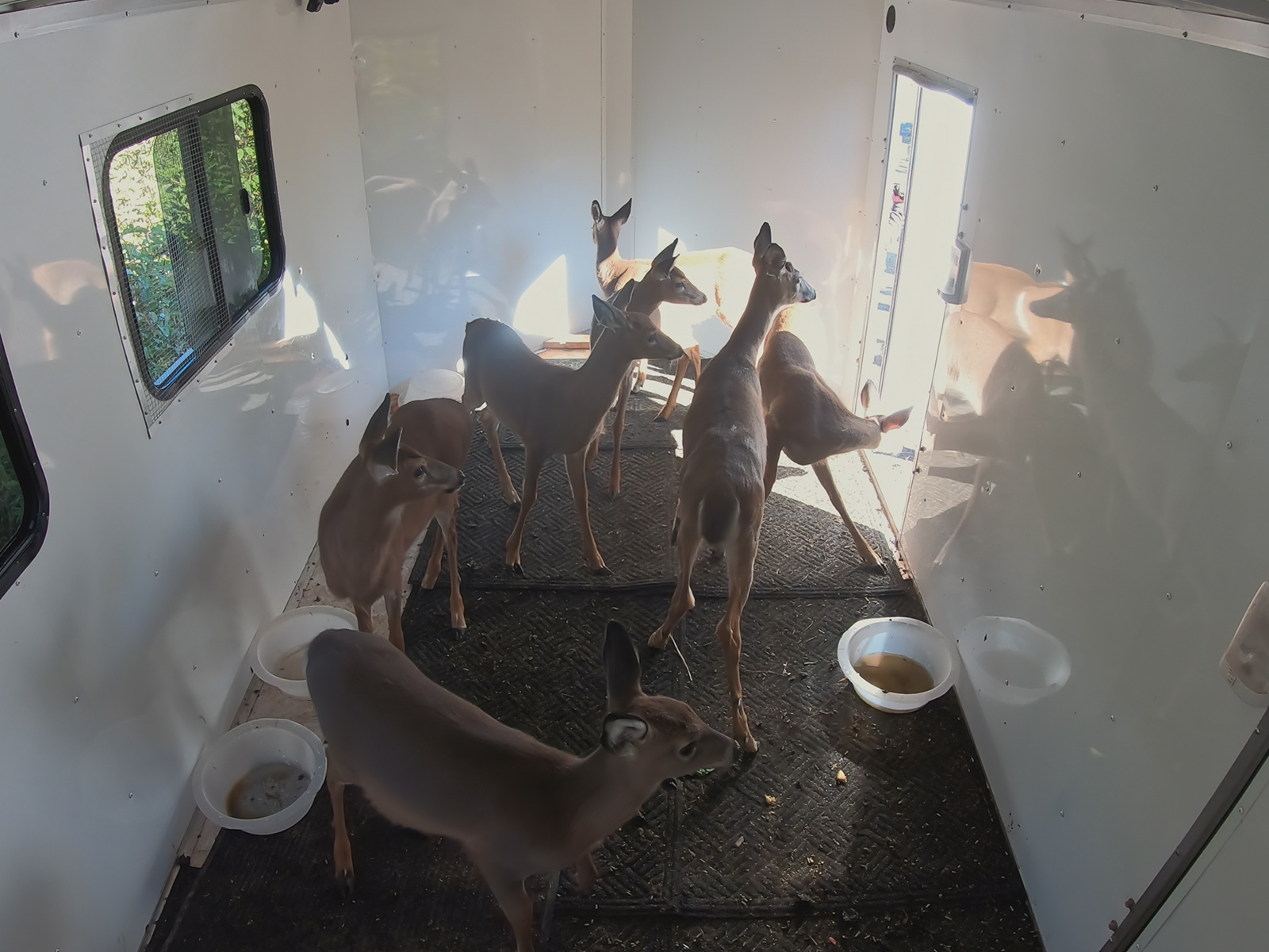 Prime Video: Hope for Wildlife