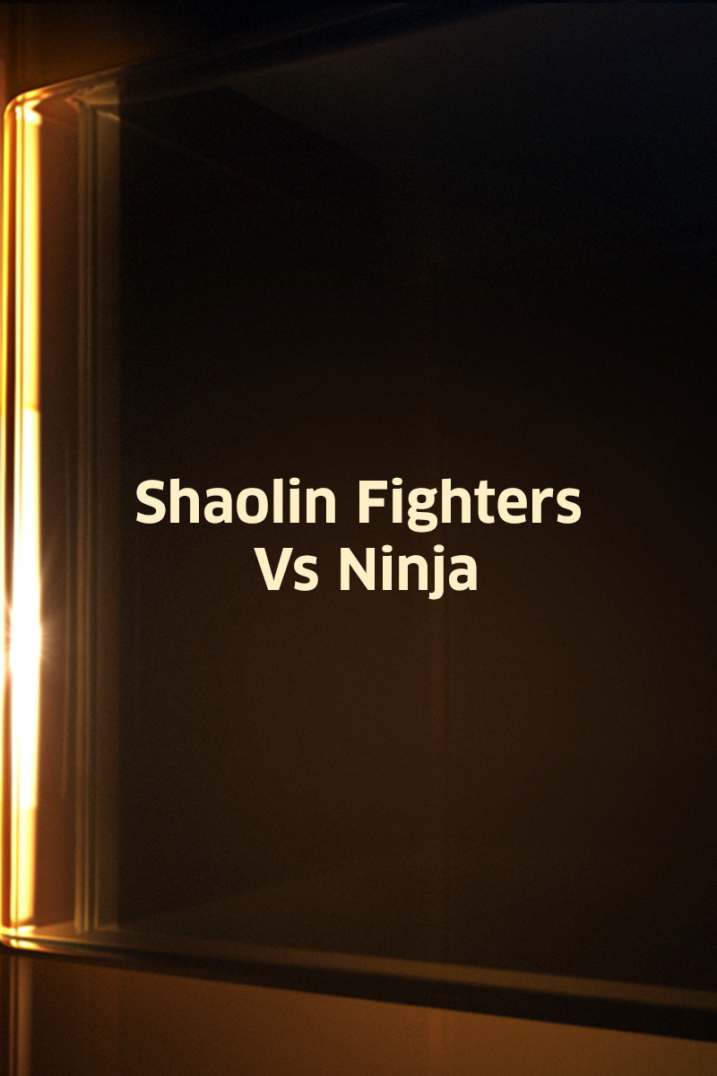 Prime Video: Shaolin Fighters vs. Ninja
